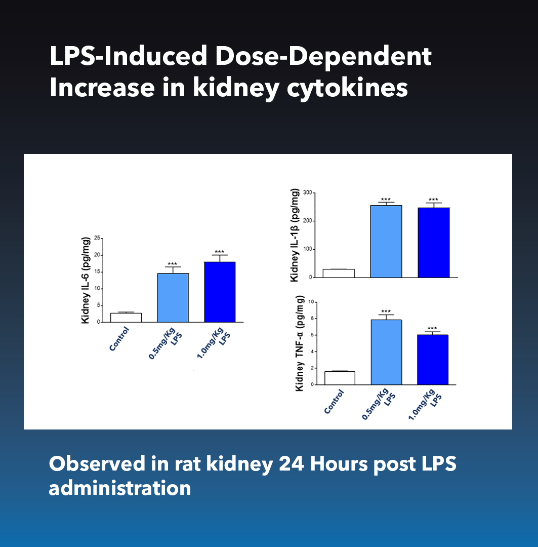 Sygnature Discovery LPS Model of Inflammation