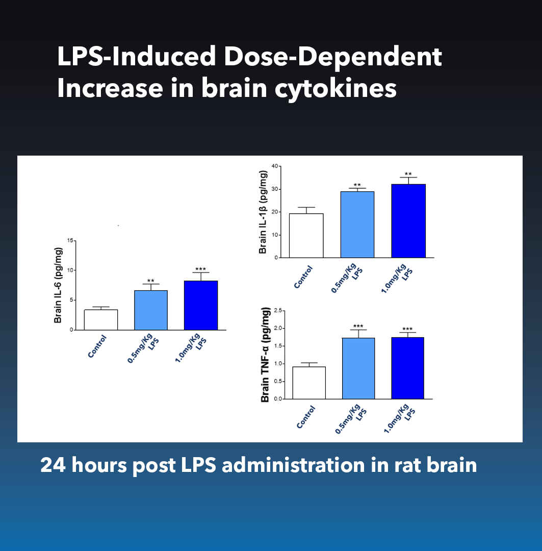 Sygnature Discovery LPS Model of Inflammation